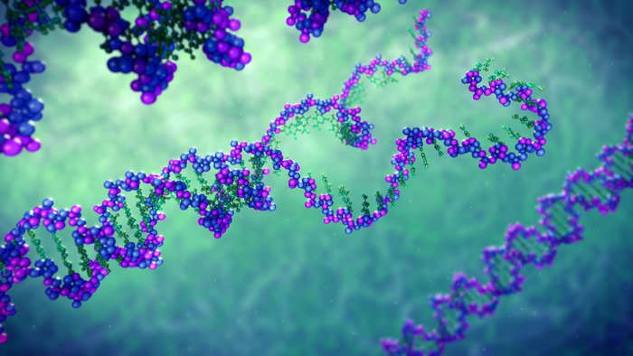 Genética :: Biohelpmate